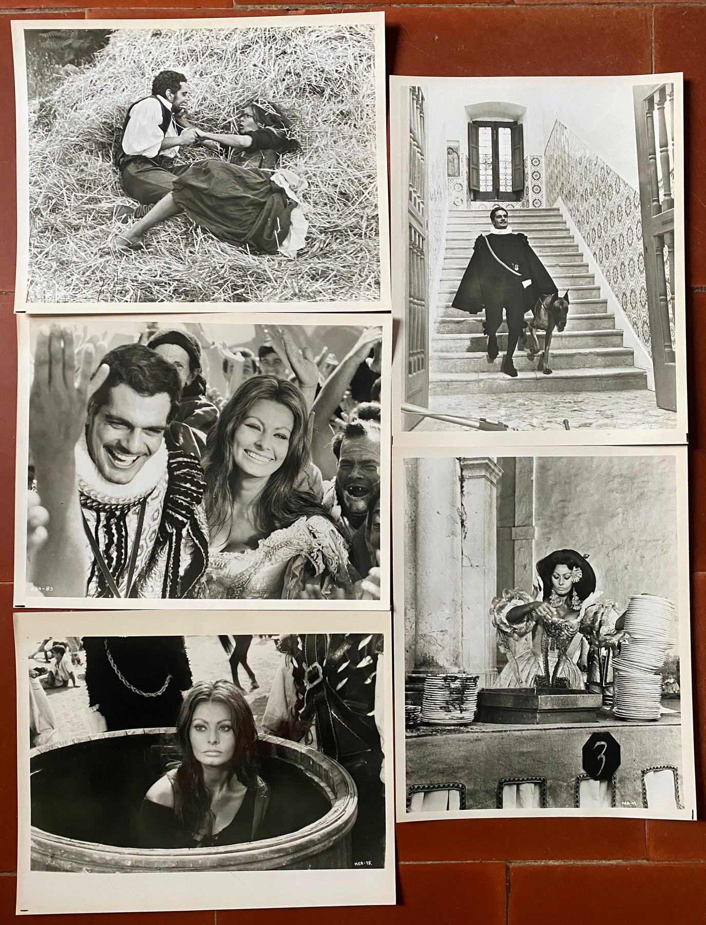 5 Photos originales LA BELLE ET LE CAVALIER Omar Sharif SOPHIA LOREN 2 ...
