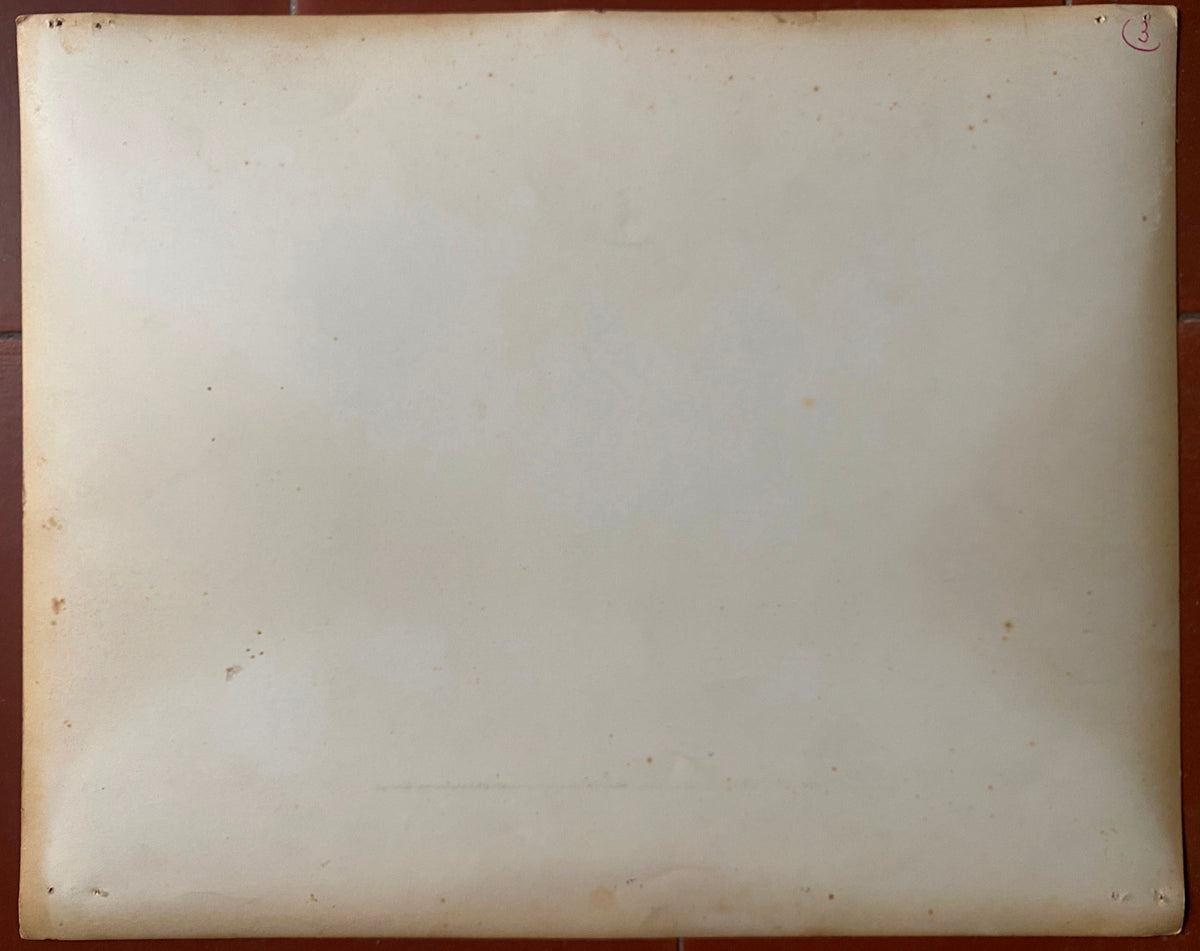 Photo originale LE MONDE LUI APPARTIENT World in his arms GREGORY PECK ...