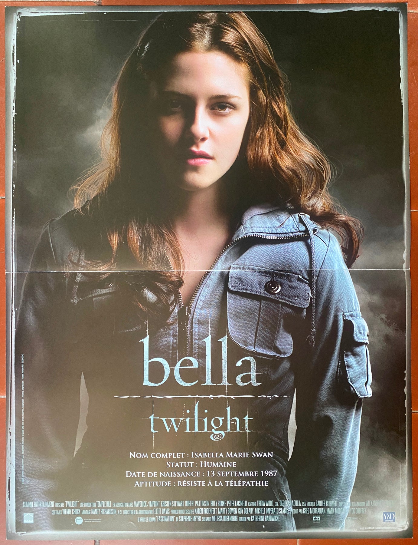 Poster TWILIGHT Chapter 1 KRISTEN STEWART Robert Pattinson 40x60cm – CINEAD