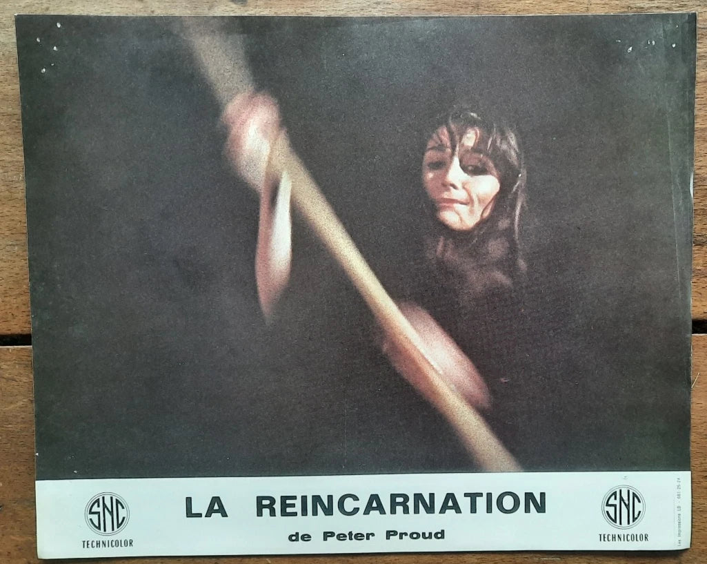 8 Original Photos THE REINCARNATION OF PETER PROUD M. SARRAZIN horror ...