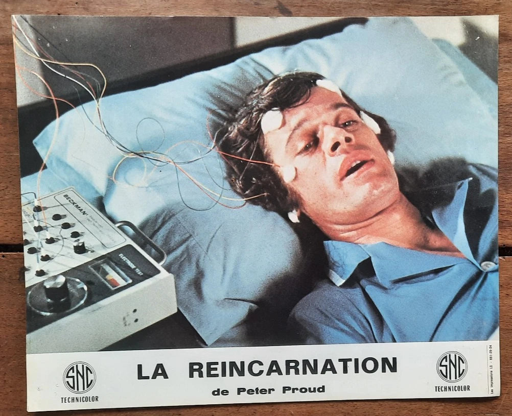 8 Original Photos THE REINCARNATION OF PETER PROUD M. SARRAZIN horror ...