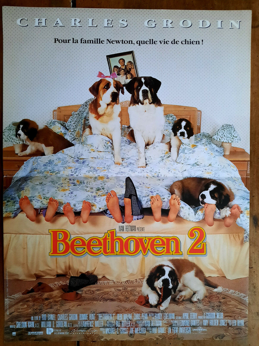 Poster BEETHOVEN 2 Rod DANIEL Charles GRODIN Dog 40x60cm – CINEAD