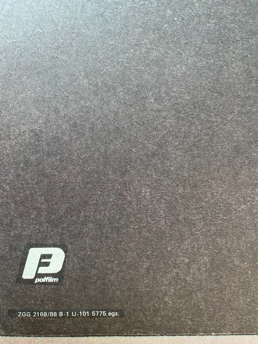 Polish Poster BRIEF LOVE STORY Krzysztof Kieslowski PAGOWSKI 67x95cm ...