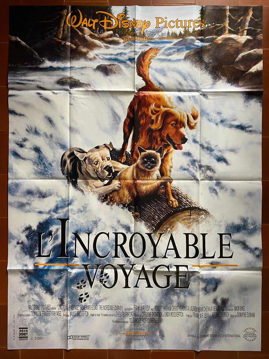 Affiche L'INCROYABLE VOYAGE chat chien dessin animé Walt DISNEY 120x16 ...