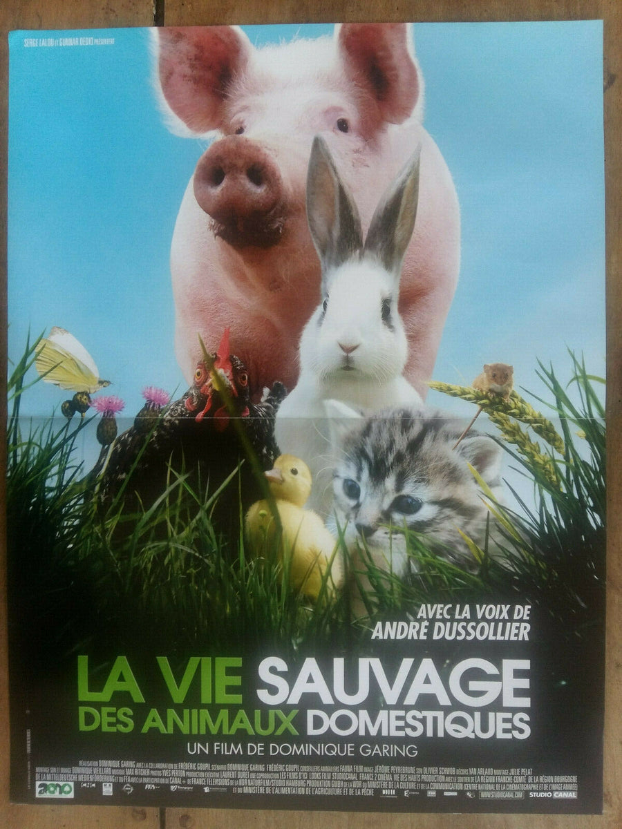 Poster THE WILD LIFE OF DOMESTIC ANIMALS Dominique GARING 40x60cm – CINEAD